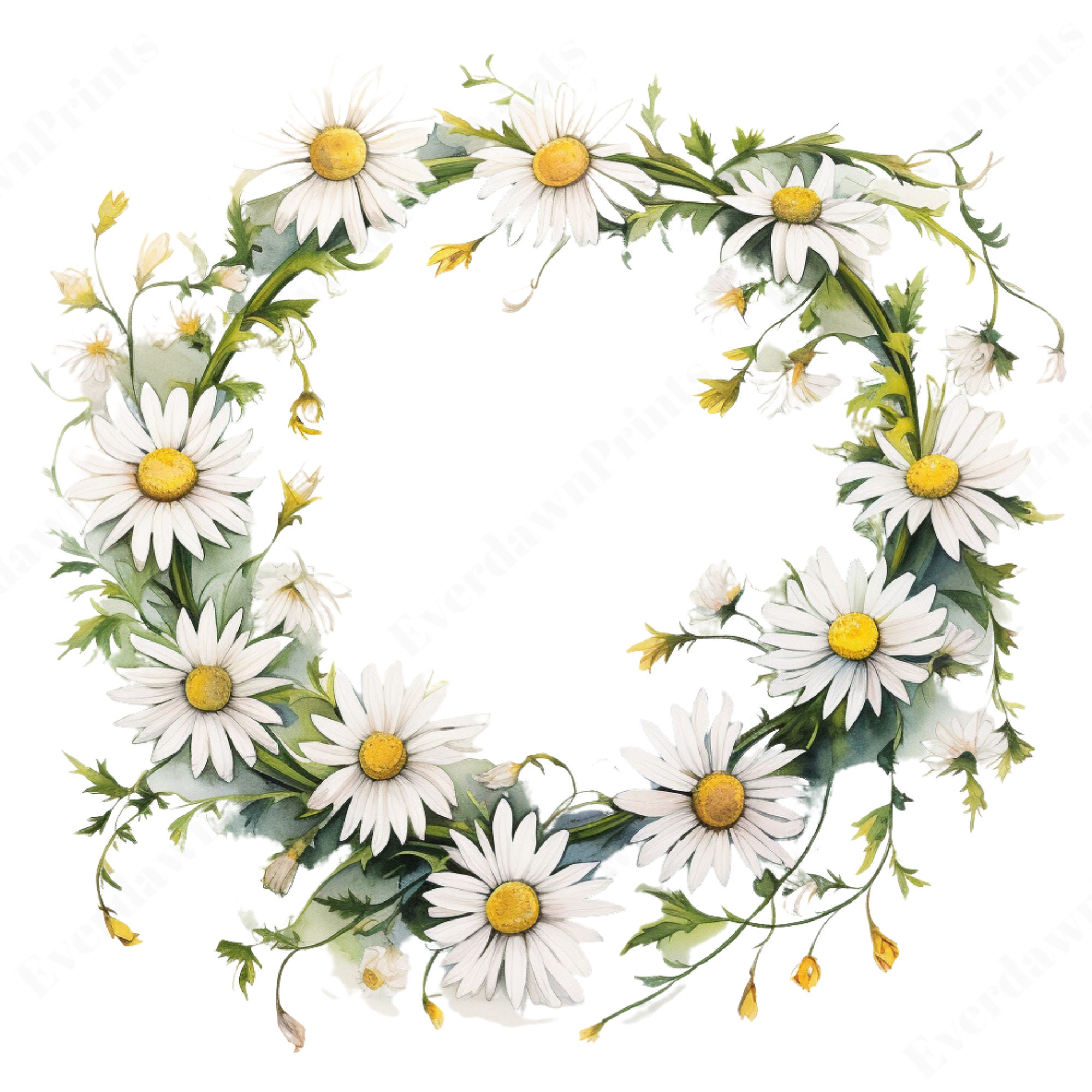 49 Watercolor Daisy Flowers Clipart, Wild Floral Clipart, Floral ...