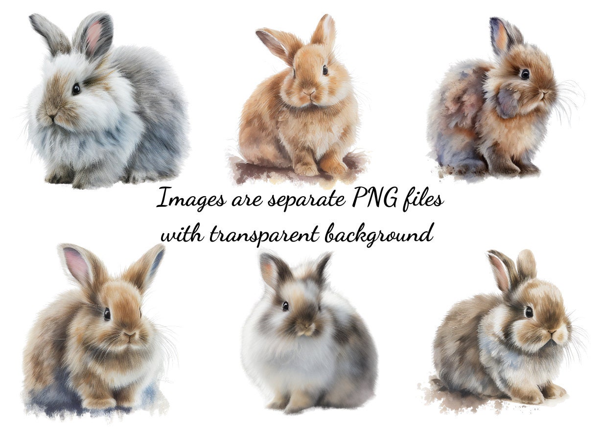 32 Fluffy Bunny Clipart, High Quality Transparent PNG, Watercolor, Card ...