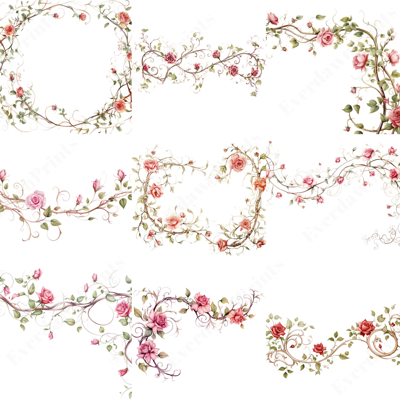 75 Watercolor Rose Vine Borders, Watercolor Floral Borders, Wild ...