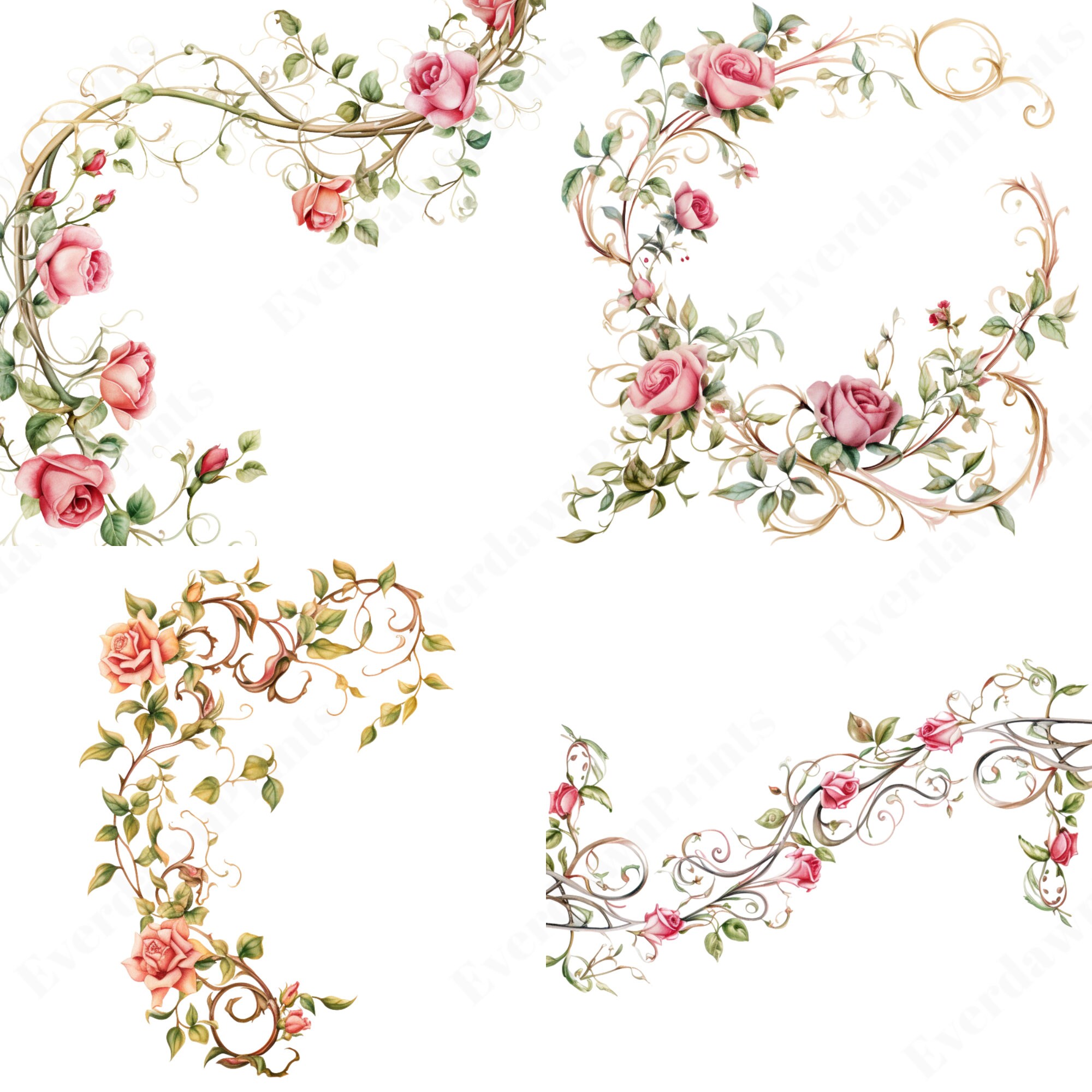 75 Watercolor Rose Vine Borders, Watercolor Floral Borders, Wild ...