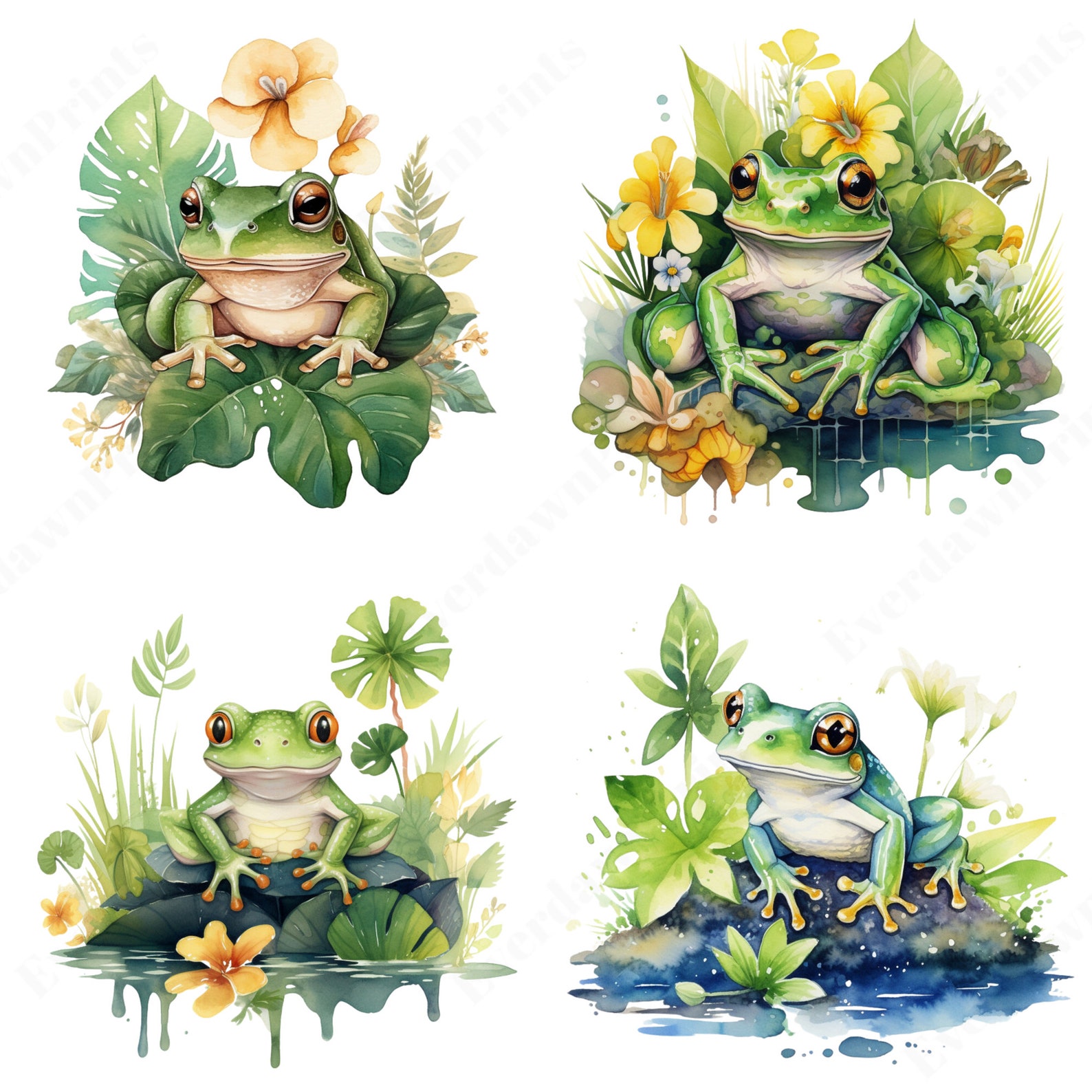 20 Rainforest Frog Clipart, High Quality Transparent PNG, Watercolor ...