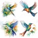 25 Watercolor Colorful Bird Clipart, High Quality Transparent Pngs ...