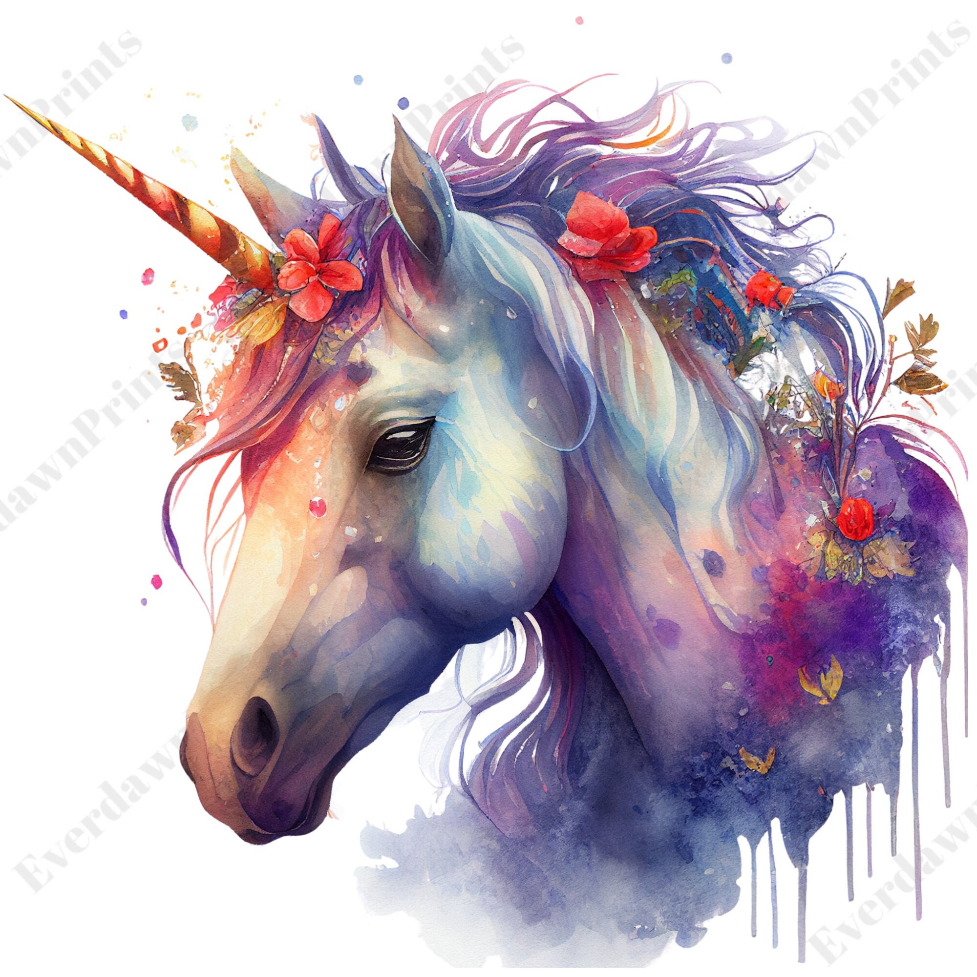 15 Unicor Clipart, High Quality Transparent PNG, Watercolor, Card ...