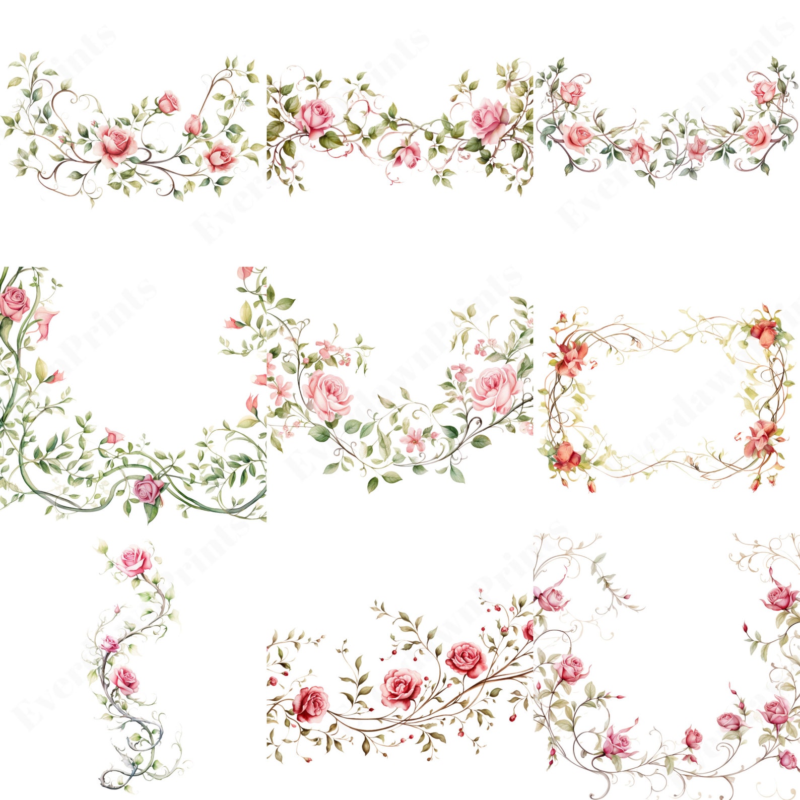 75 Watercolor Rose Vine Borders, Watercolor Floral Borders, Wild ...
