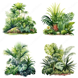 24 Watercolor Tropical Greenery Clipart – Lush Jungle Leaves, Monstera ...