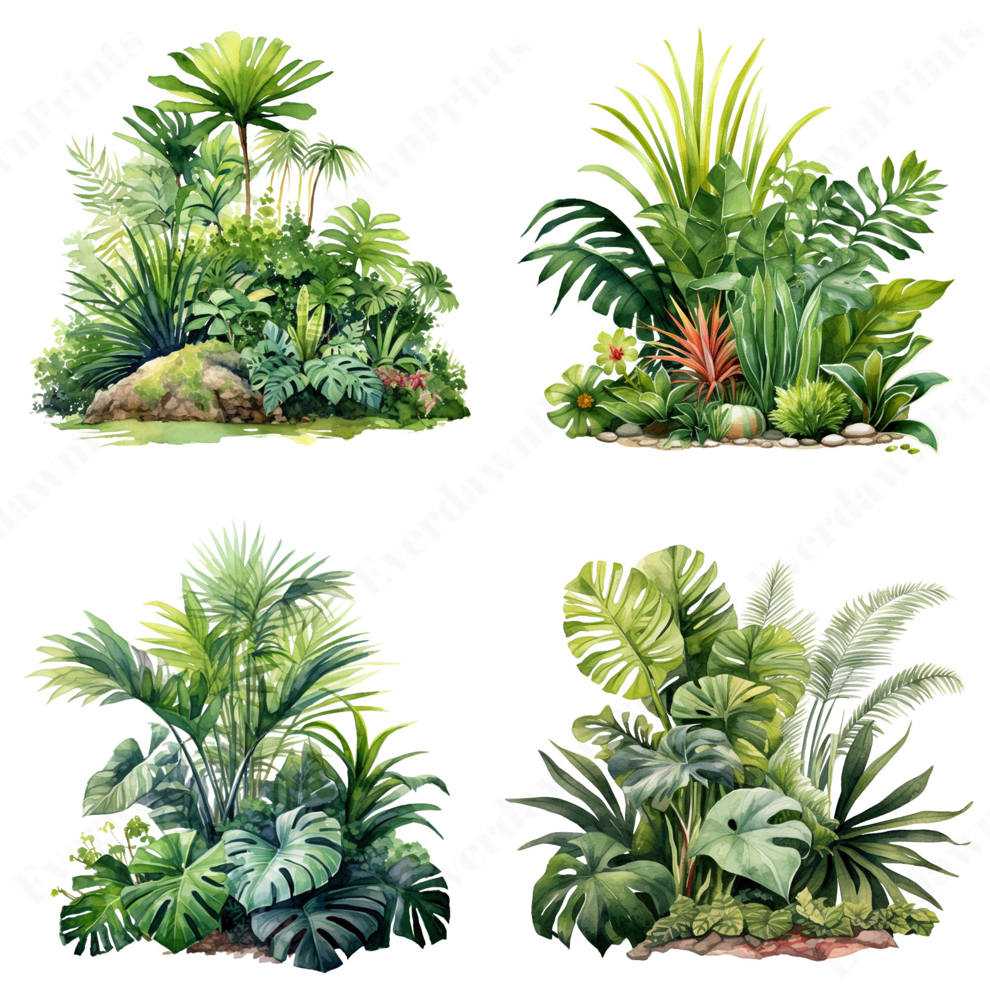 24 Watercolor Tropical Greenery Clipart, Tropical Leaves, Monstera ...