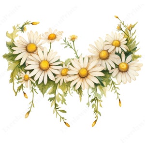 49 Watercolor Daisy Flowers Clipart, Wild Floral Clipart, Floral ...