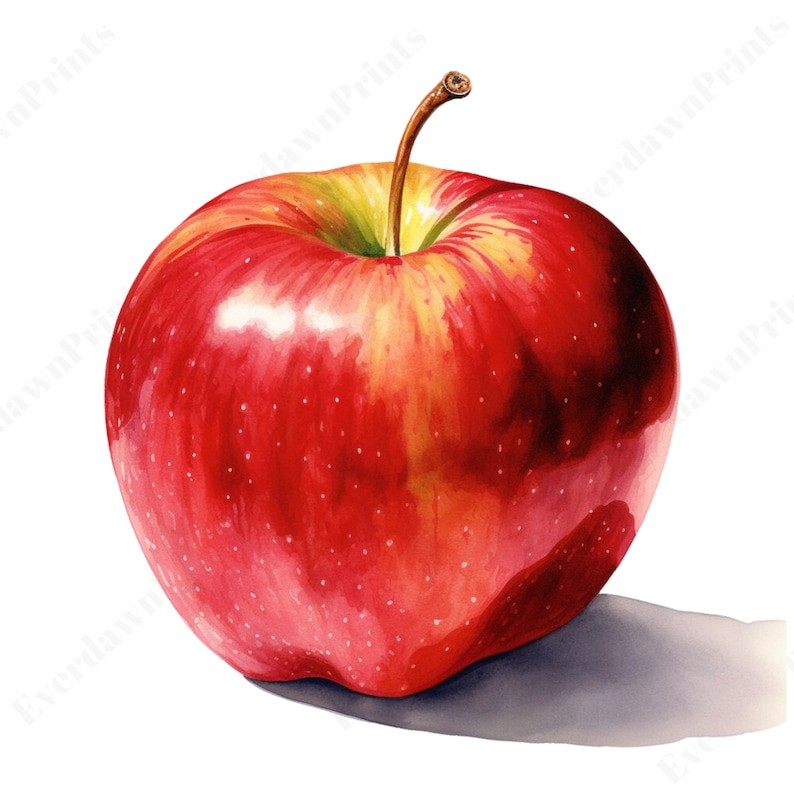 Watercolor Apple Clipart, 24 High Quality Transparent PNG, Apple PNG ...