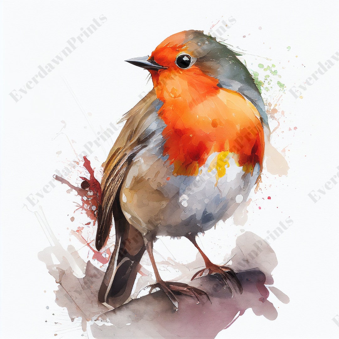 12 Robin Clipart, High Quality Transparent Pngs, Nursery Art, Digital ...