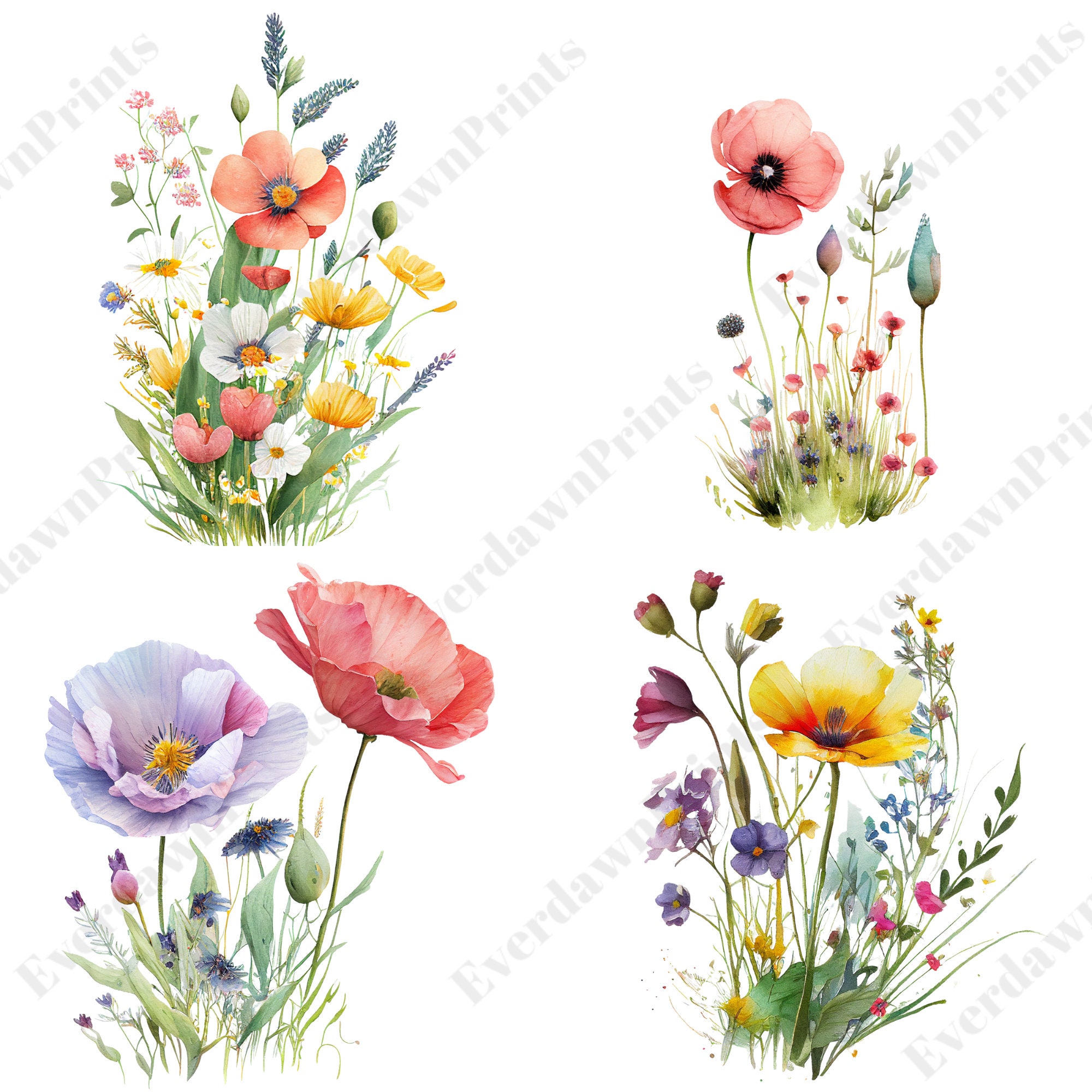18 Watercolor Meadow Flowers Clipart High Quality PNG Card - Etsy