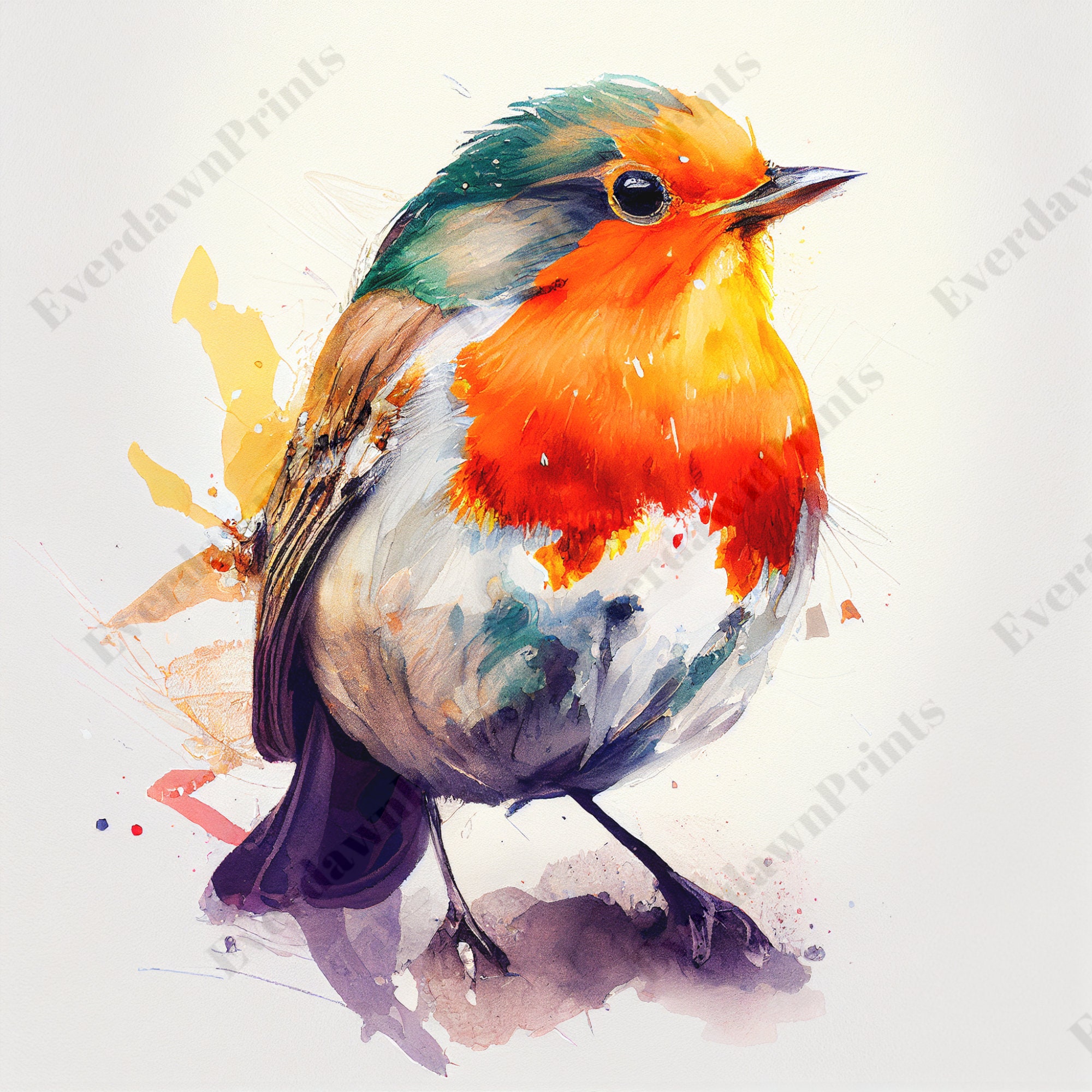 12 Robin Clipart, High Quality Transparent Pngs, Nursery Art, Digital ...