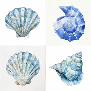 28 Large Blue Seashell Clipart, Ocean Marine Life Transparent Image ...