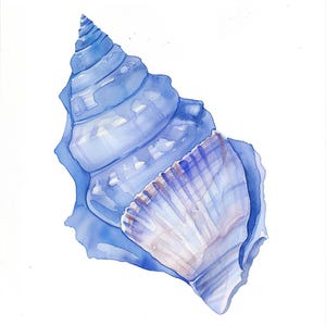 28 Large Blue Seashell Clipart, Ocean Marine Life Transparent Image ...