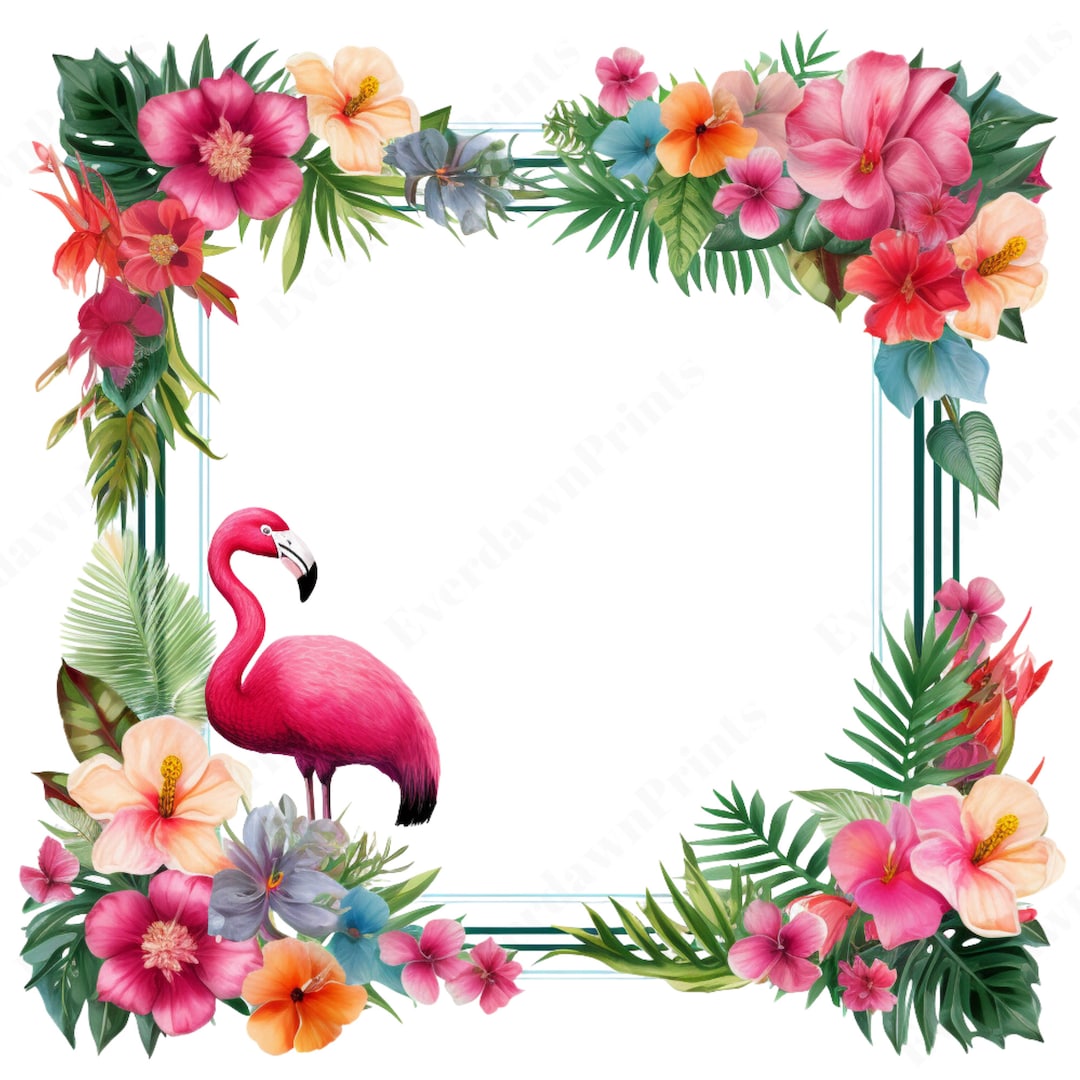 16 Watercolor Flamingo Borders, Watercolor Borders, Flamingo Clipart ...