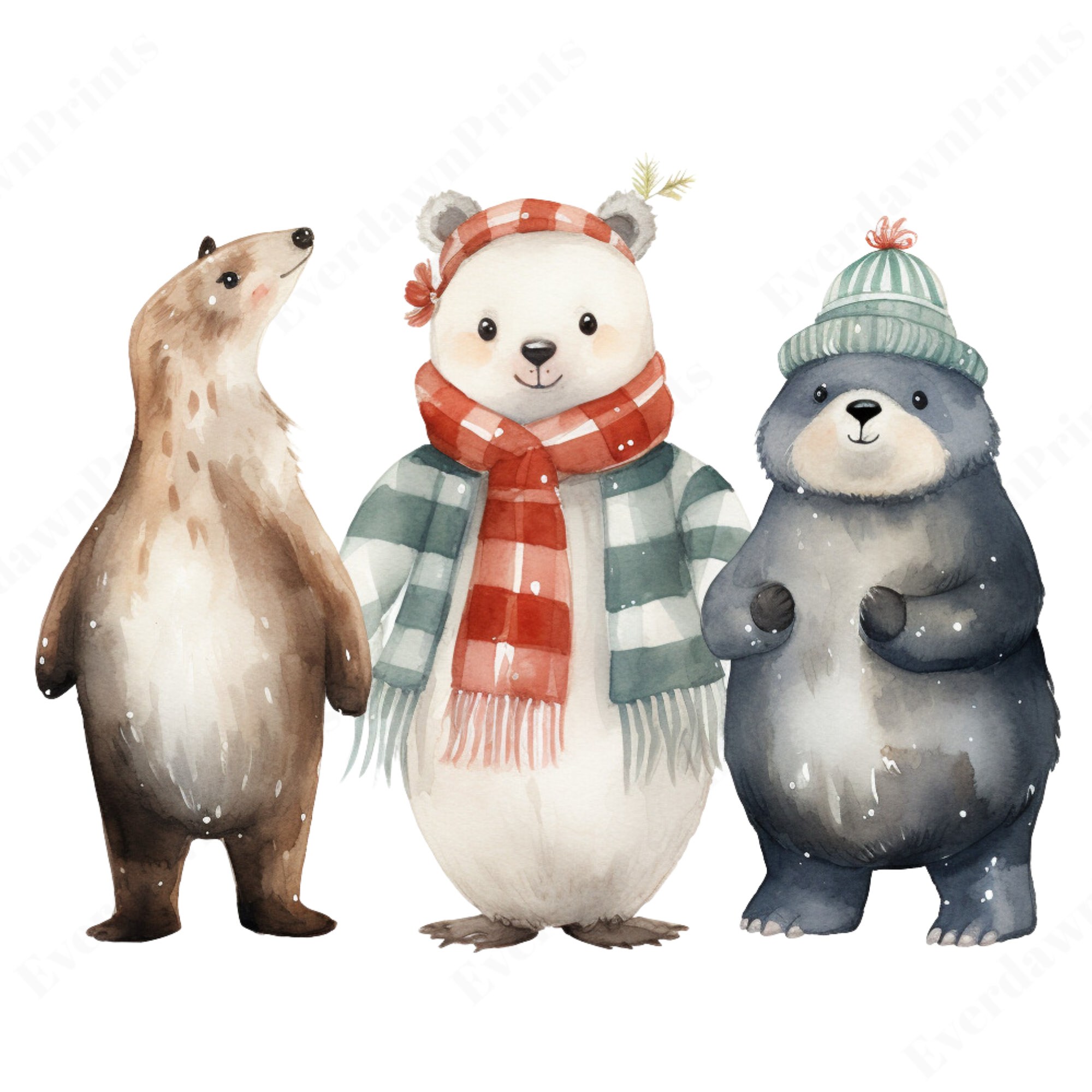 21 Winter Animals Watercolor Clipart, Transparent PNG, Christmas ...