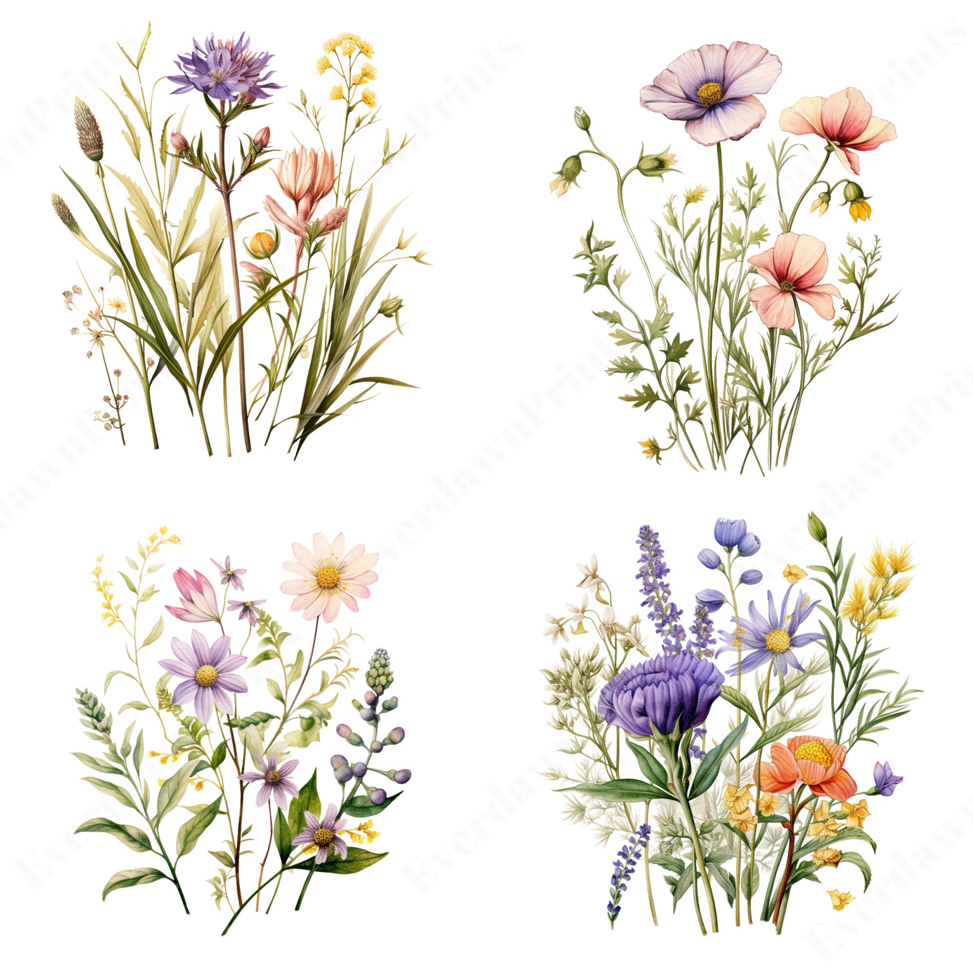 25 Watercolor Botanical Illustration Clipart, High Quality Transparent ...
