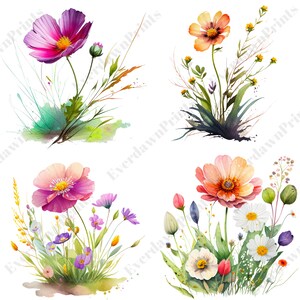 18 Watercolor Meadow Flowers Clipart, High Quality PNG, Card Making ...