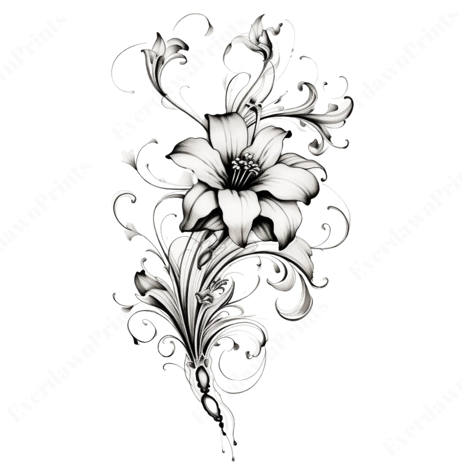 22 Flower Pencil Drawing, High Quality Transparent PNG, Roses, Floral ...