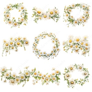 49 Watercolor Daisy Flowers Clipart, Wild Floral Clipart, Floral ...