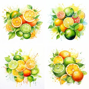 24 Watercolor Citrus Fruit Clipart, Transparent PNG Clipart Set, Fresh ...