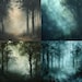 24 Misty Forest Watercolor Clipart, Watercolor Backgrounds, Forest ...