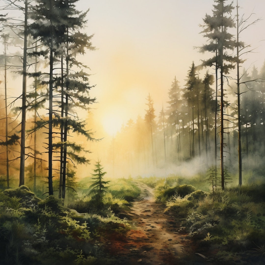 20 Watercolor Forest Landscapes, Watercolor Forest Background, High ...