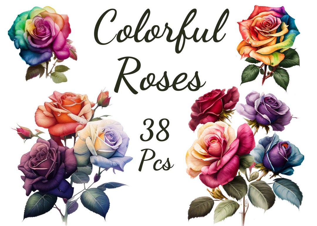 38 Colorful Rose Clipart, Watercolor, High Quality Transparent PNG ...