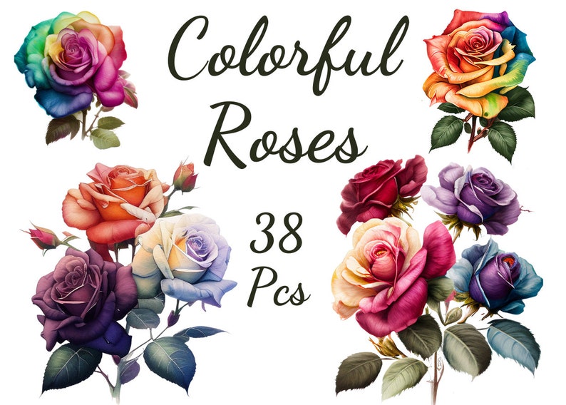 38 Colorful Rose Clipart, Watercolor, High Quality Transparent PNG ...