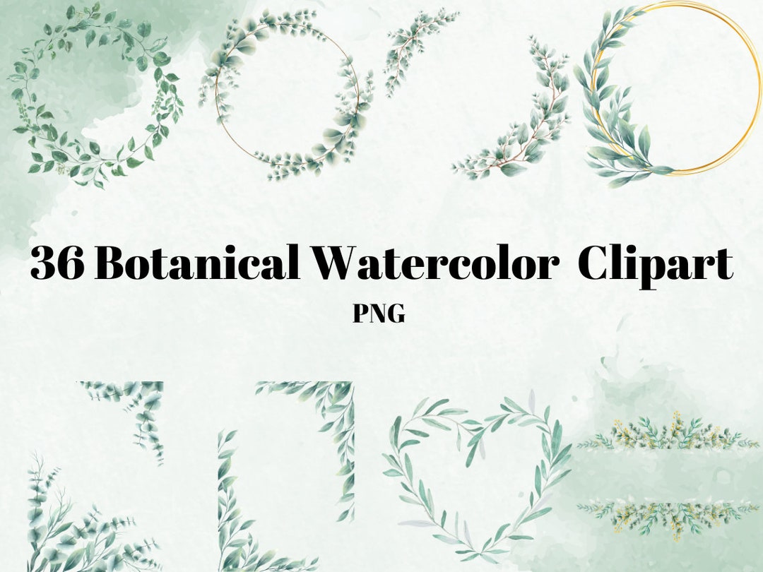 36 Botanical Watercolor Clipart , Hand Drawn Greenery PNG, Foliage ...