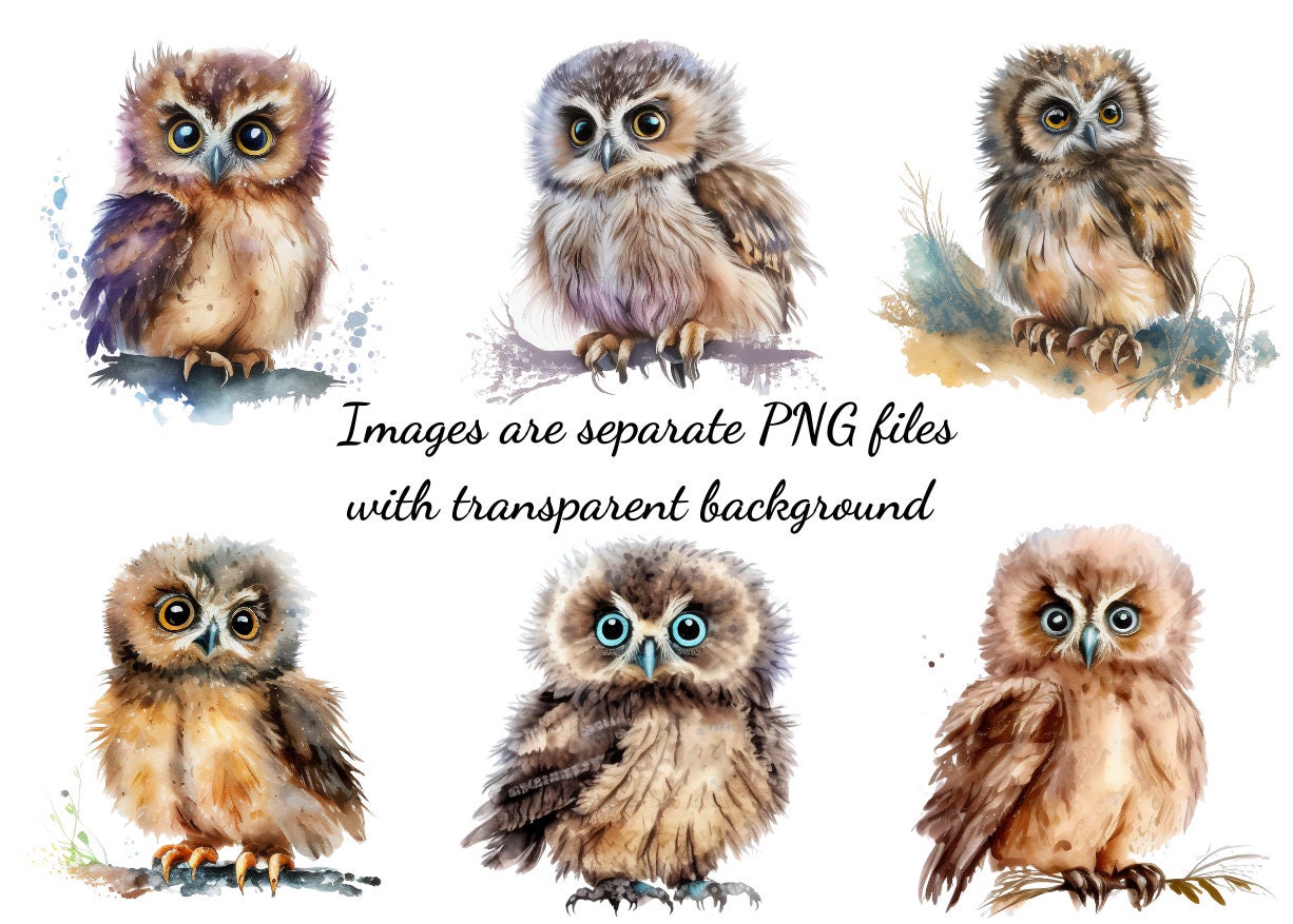 14 Baby Owl Clipart High Quality Transparent PNG Watercolor - Etsy