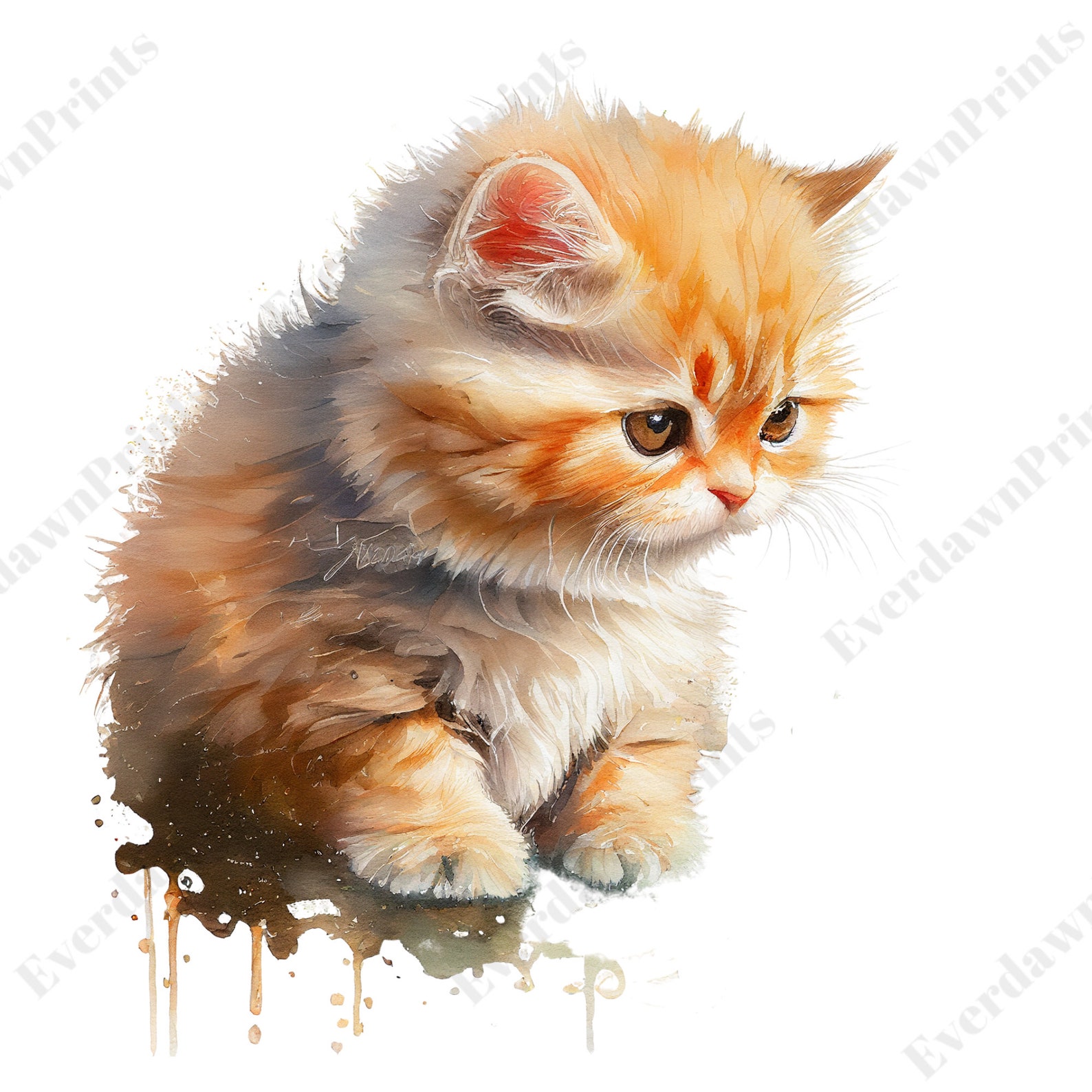 15 Kitten Clipart High Quality Transparent PNG Small Cat - Etsy