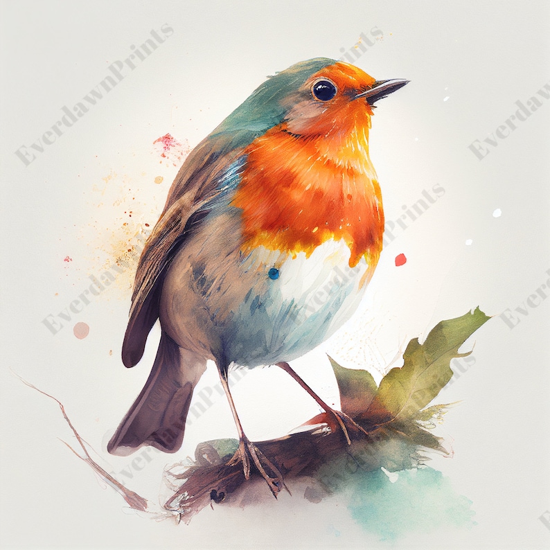 12 Robin Clipart, High Quality Transparent Pngs, Nursery Art, Digital ...