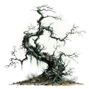 24 Gnarled Tree Clipart, Old Growth Forest Graphics, Digital Tree Art ...