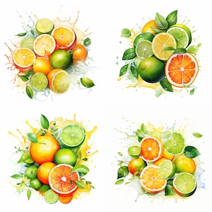 24 Watercolor Citrus Fruit Clipart, Transparent PNG Clipart Set, Fresh ...