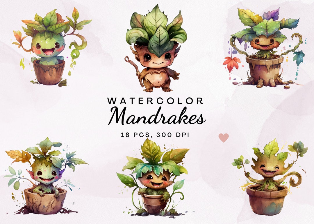 Mandrake Clipart, 18 High Quality Transparent PNG, Mandrake, Watercolor ...