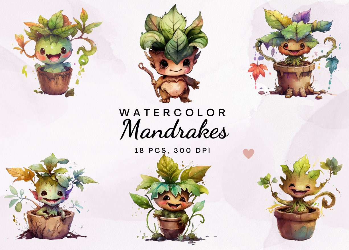 Mandrake Clipart, 18 High Quality Transparent PNG, Mandrake, Watercolor ...