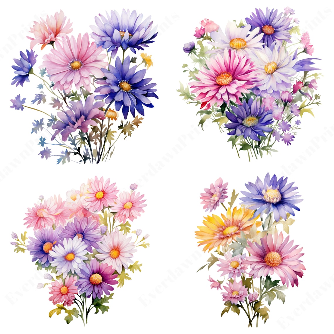 21 Aster Flowers Watercolor Clipart, High Quality Transparent PNG ...