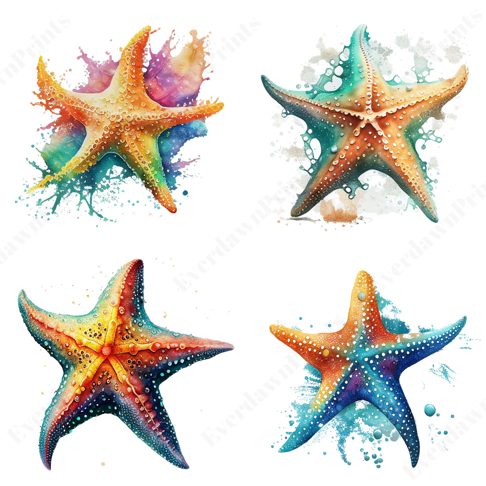 18 Watercolor Starfish Clipart, High Quality Transparent PNG ...