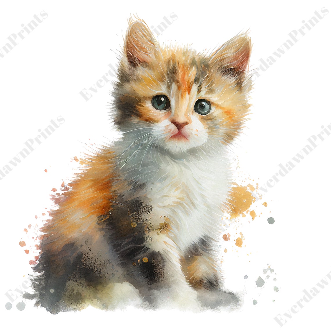 15 Kitten Clipart High Quality Transparent PNG Small Cat - Etsy
