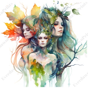 15 Dryad Clipart, Fantasy, High Quality Transparent PNG, Watercolor ...