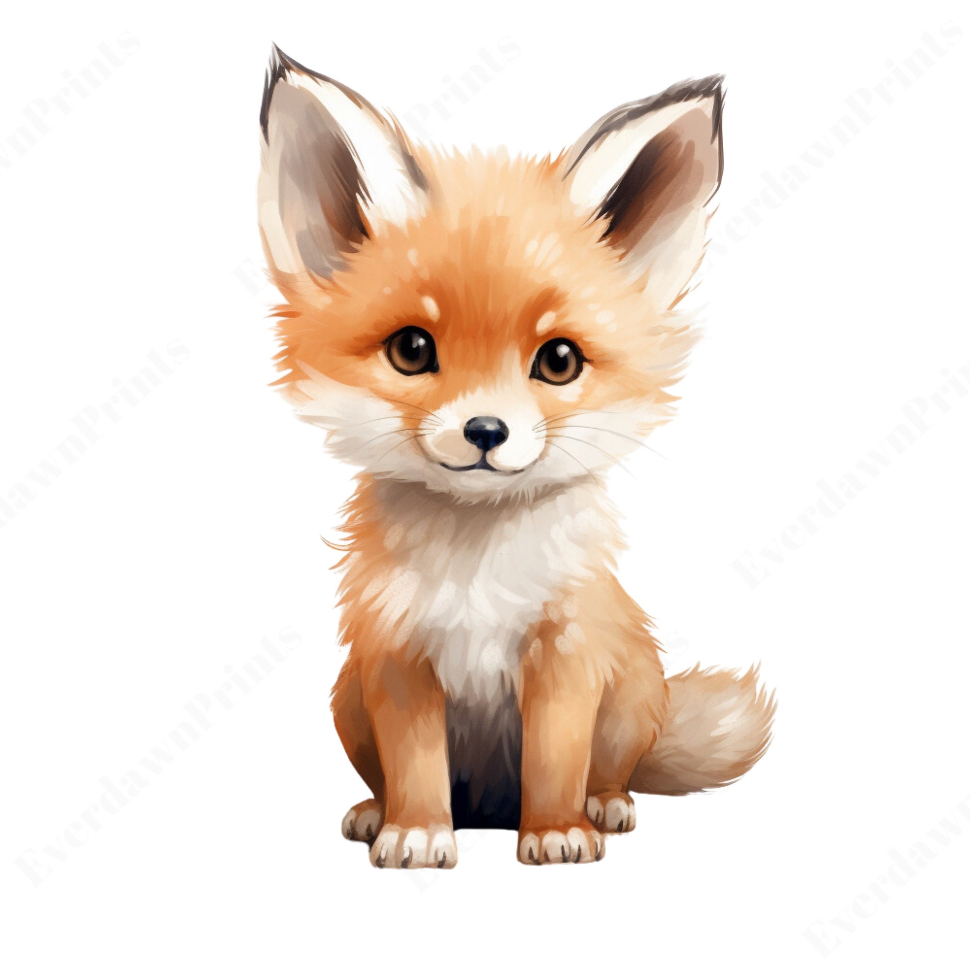 23 Watercolor Baby Fox, Transparent PNG, Baby Shower, Birthday, Nursery ...