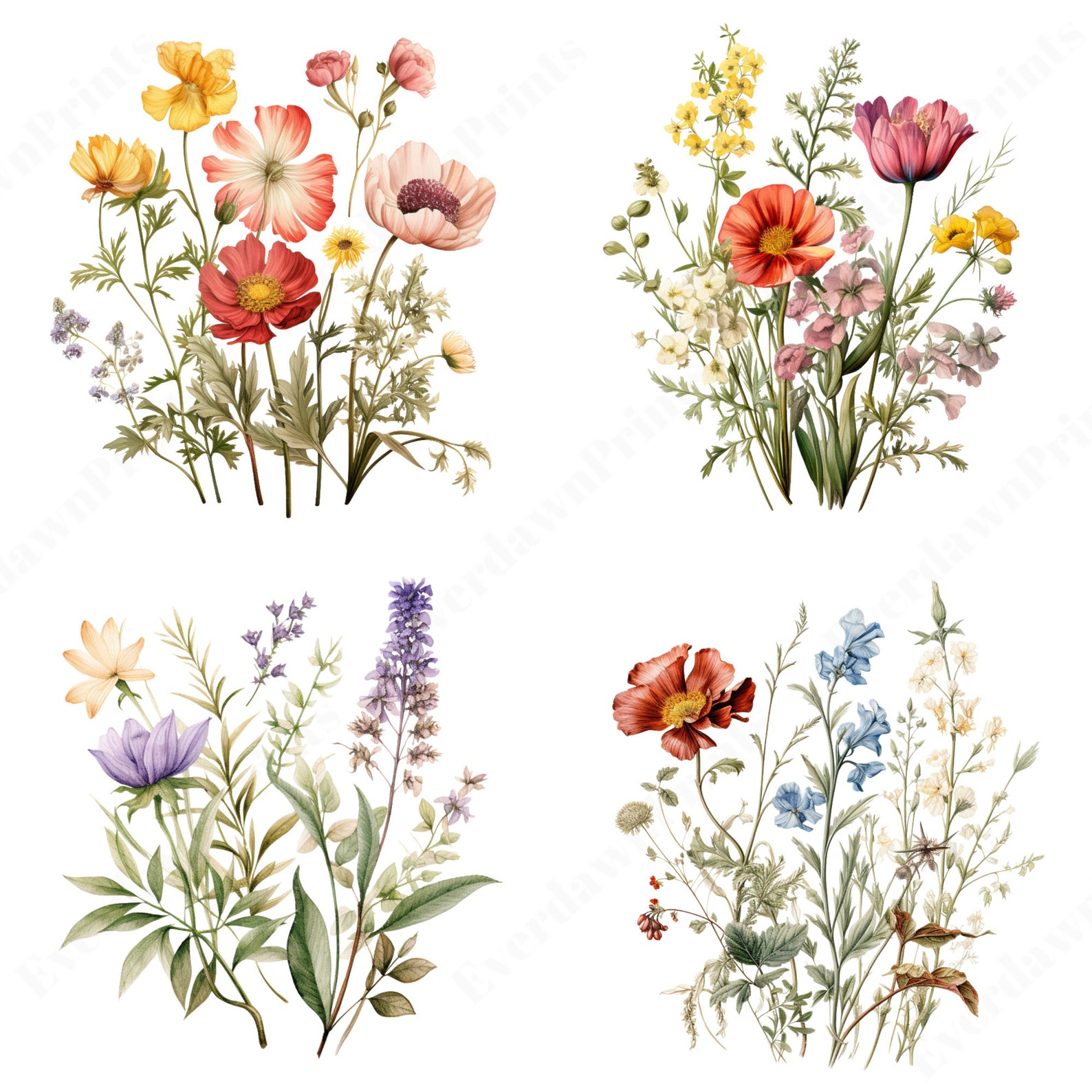 25 Watercolor Botanical Illustration Clipart, High Quality Transparent ...