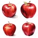 Watercolor Apple Clipart, 24 High Quality Transparent PNG, Apple PNG ...