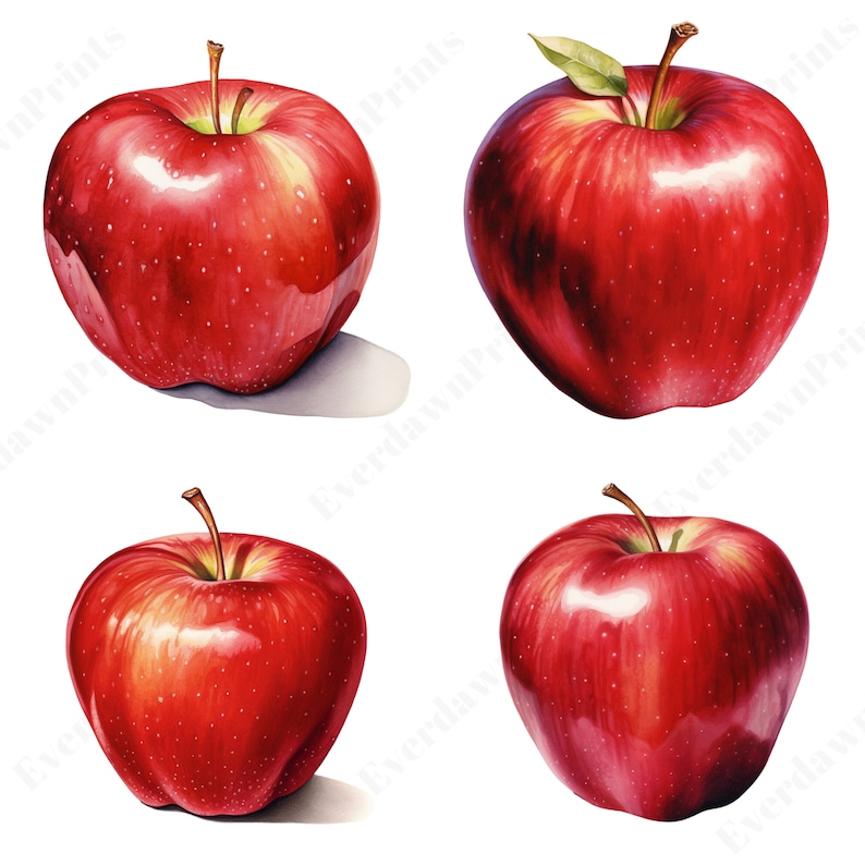 Watercolor Apple Clipart, 24 High Quality Transparent PNG, Apple PNG ...