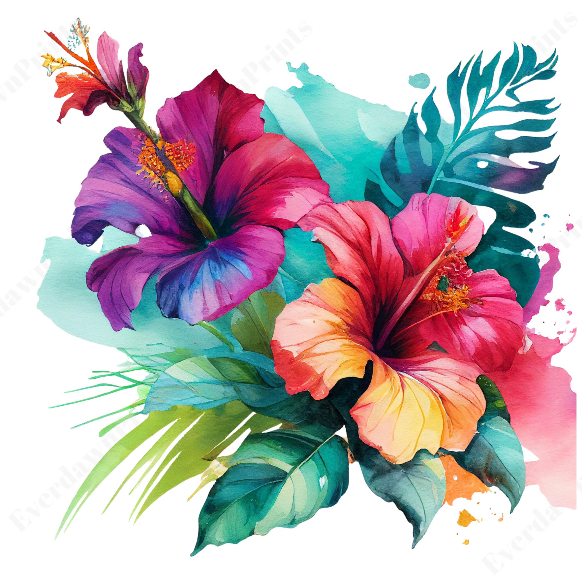 16 Watercolor Hibiscus Flowers Clipart, High Quality Transparent PNG ...