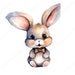 20 Watercolor Cute Bunny Clipart, Transparent, High Quality Pngs ...