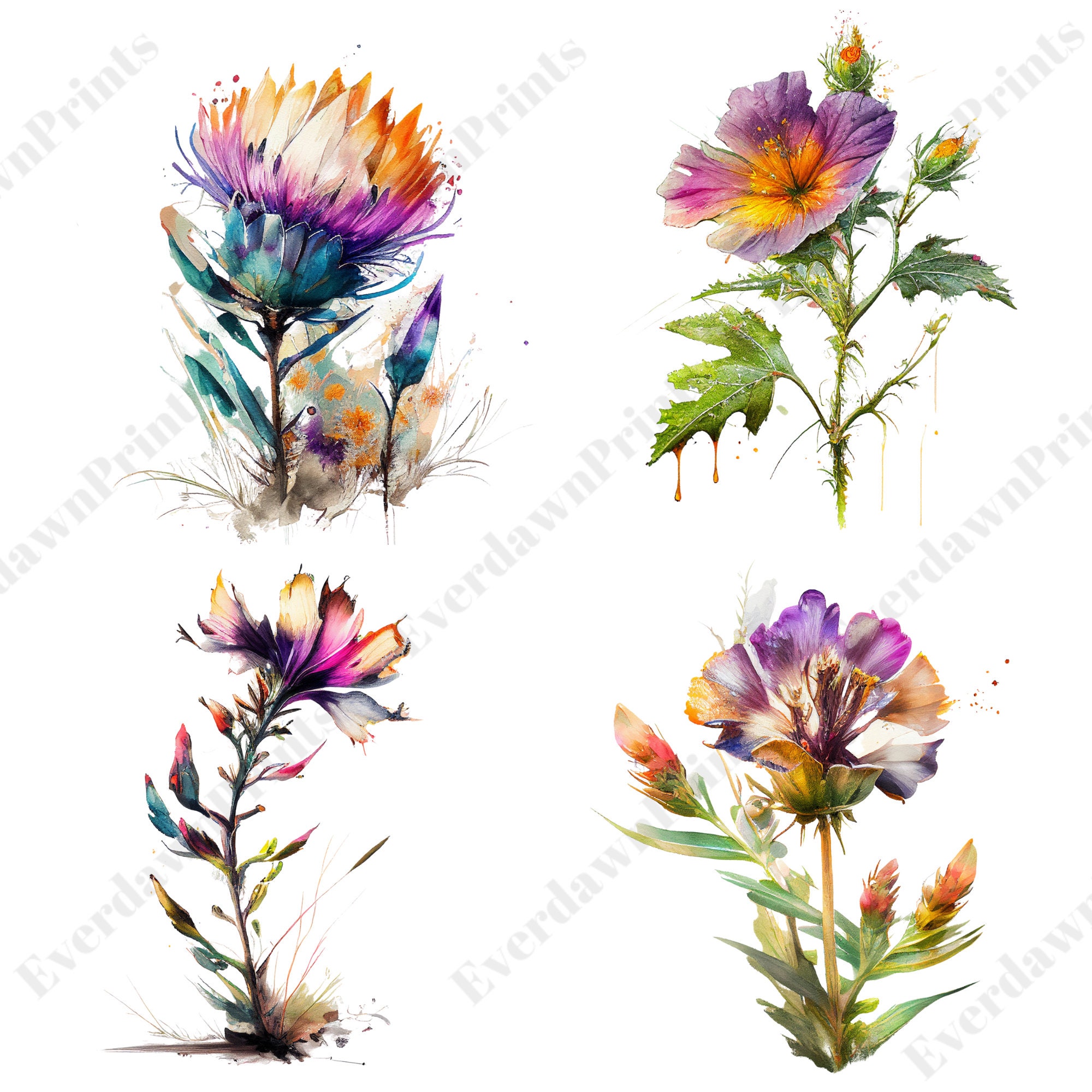 Watercolor Wildflower Clipart, Floral PNG Set, Card Making (digital ...