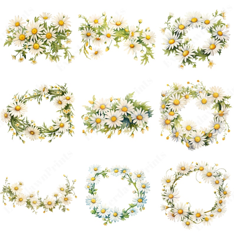 49 Watercolor Daisy Flowers Clipart, Wild Floral Clipart, Floral ...