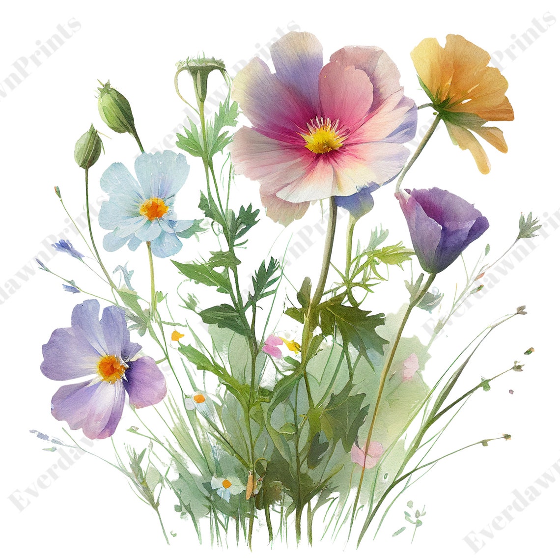 18 Watercolor Meadow Flowers Clipart High Quality PNG Card - Etsy