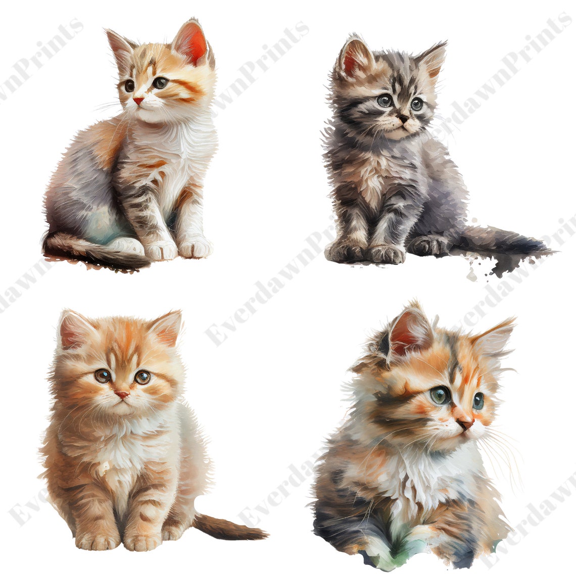 15 Kitten Clipart High Quality Transparent PNG Small Cat - Etsy